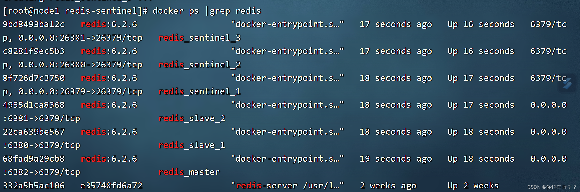 redis哨兵模式----一主两从三哨兵模式（详细版）_redis一主两从三哨兵配置-CSDN博客