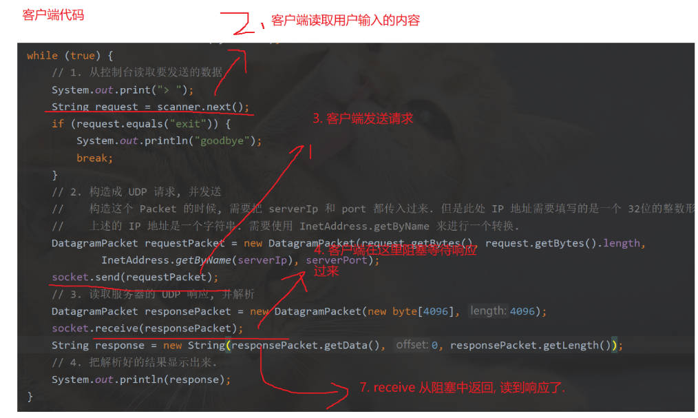javaEE 初阶 — Socket 套接字与 UDP 数据报套接字编程_java serversocket 接收1字节对齐-CSDN博客