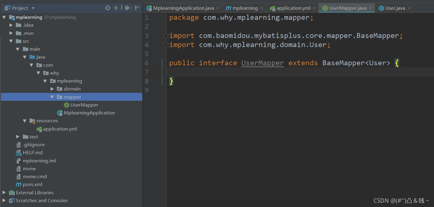 MybatisPlus极速入门_deletebatchids-CSDN博客