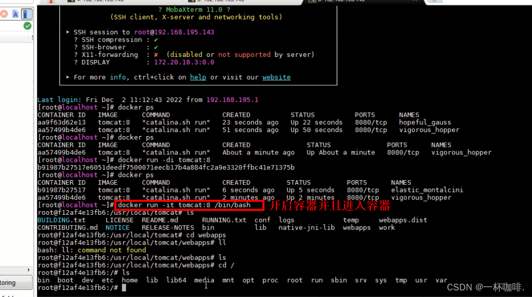 Docker常用命令_docker rmi-CSDN博客