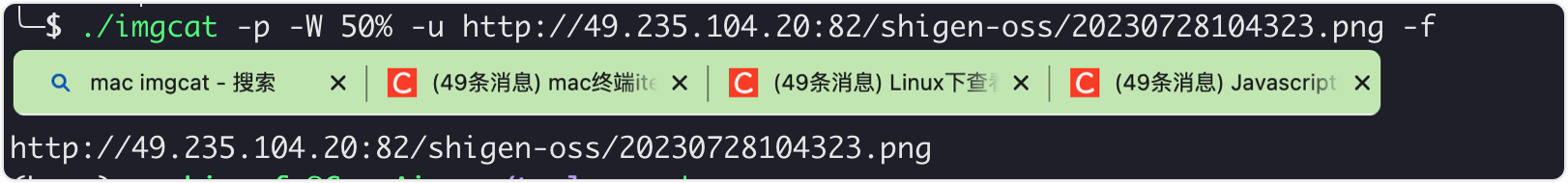imgcat命令行查看图片-CSDN博客