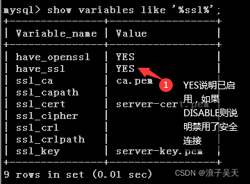 Mysql之加密连接mysql_ssl_rsa_setup_ssl_浪子吴天-华为开发者空间