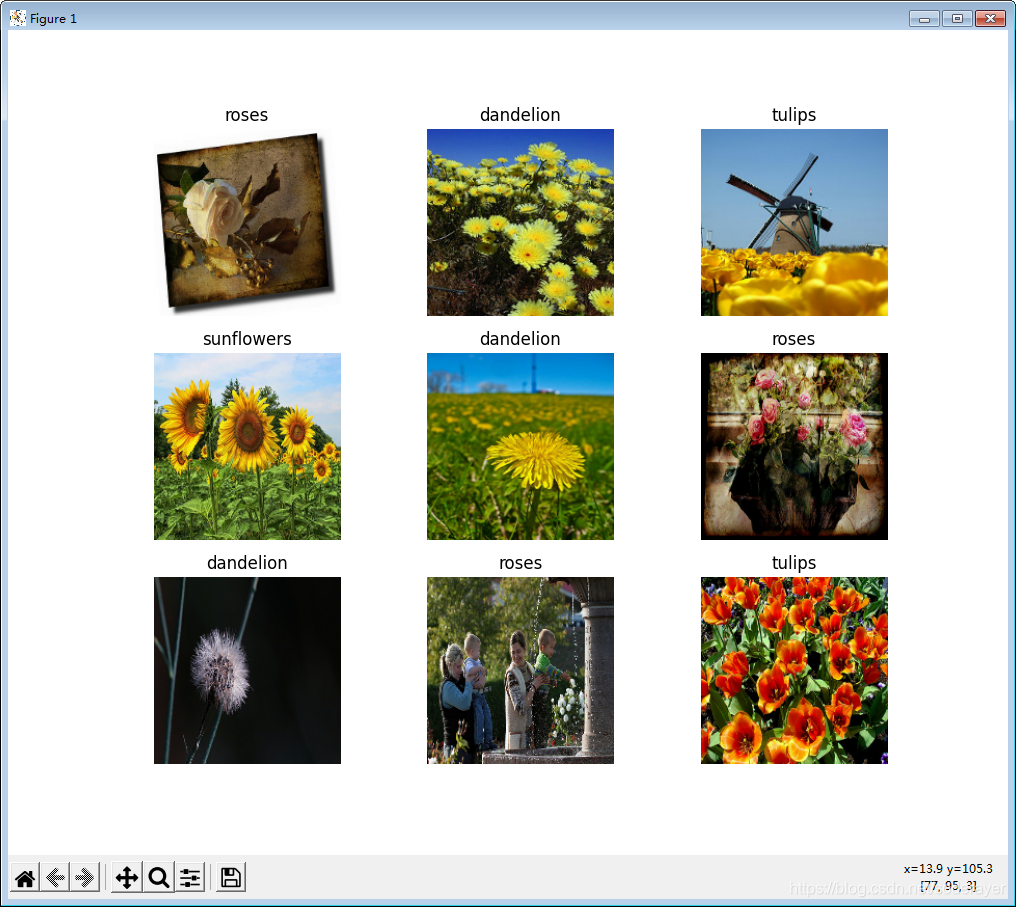 Tensorflow2 图像分类-Flowers数据及分类代码详解_图像分类flower-CSDN博客