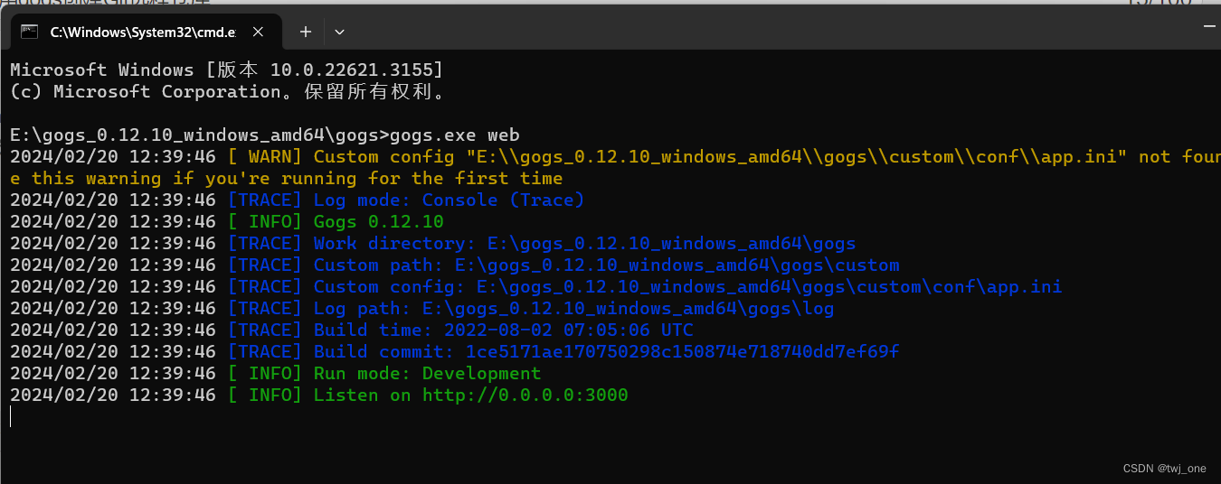 使用gogs创建Git远程仓库_win10安装gogs远程访问-CSDN博客