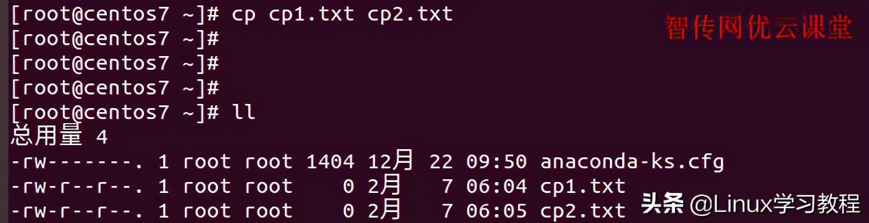 Linux使用命令行复制文件的6个案例 Linux命令行复制文件 Csdn博客
