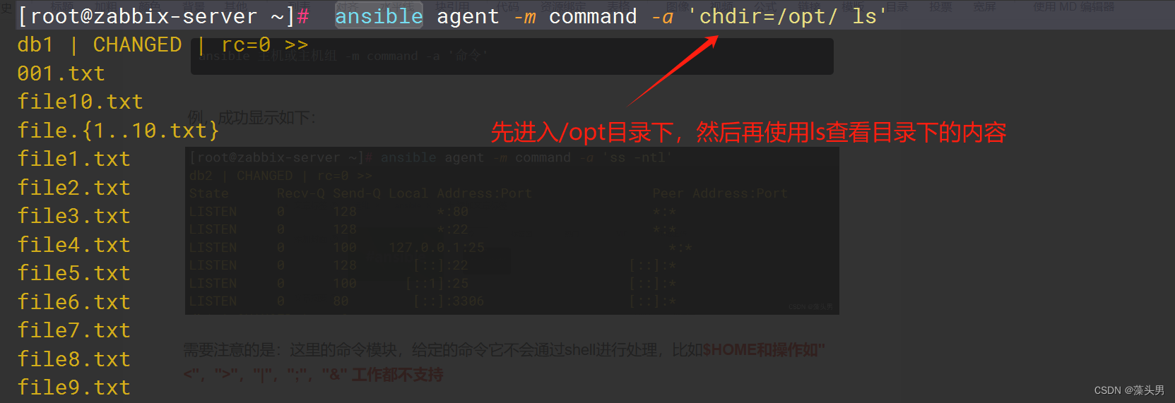 运维神器Ansible的常用模块_ansible ping-CSDN博客