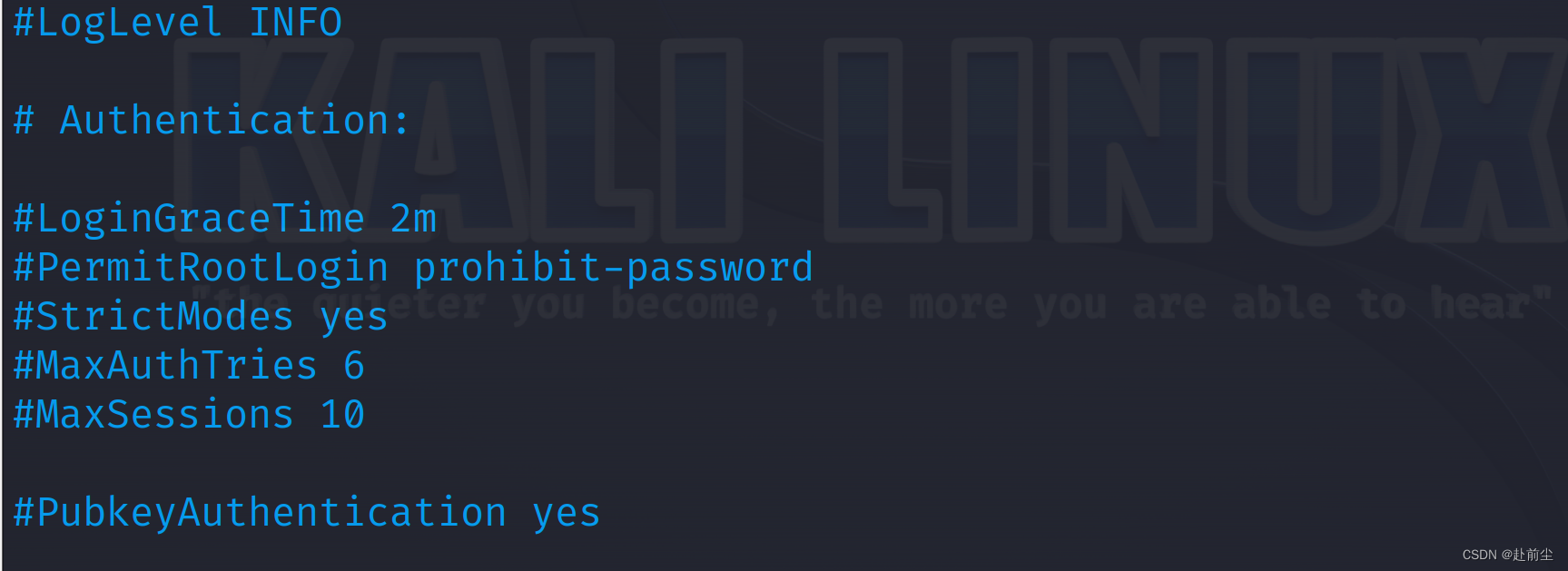 kali配置sshd服务并使用xshell连接_渗透测试-CSDN专栏