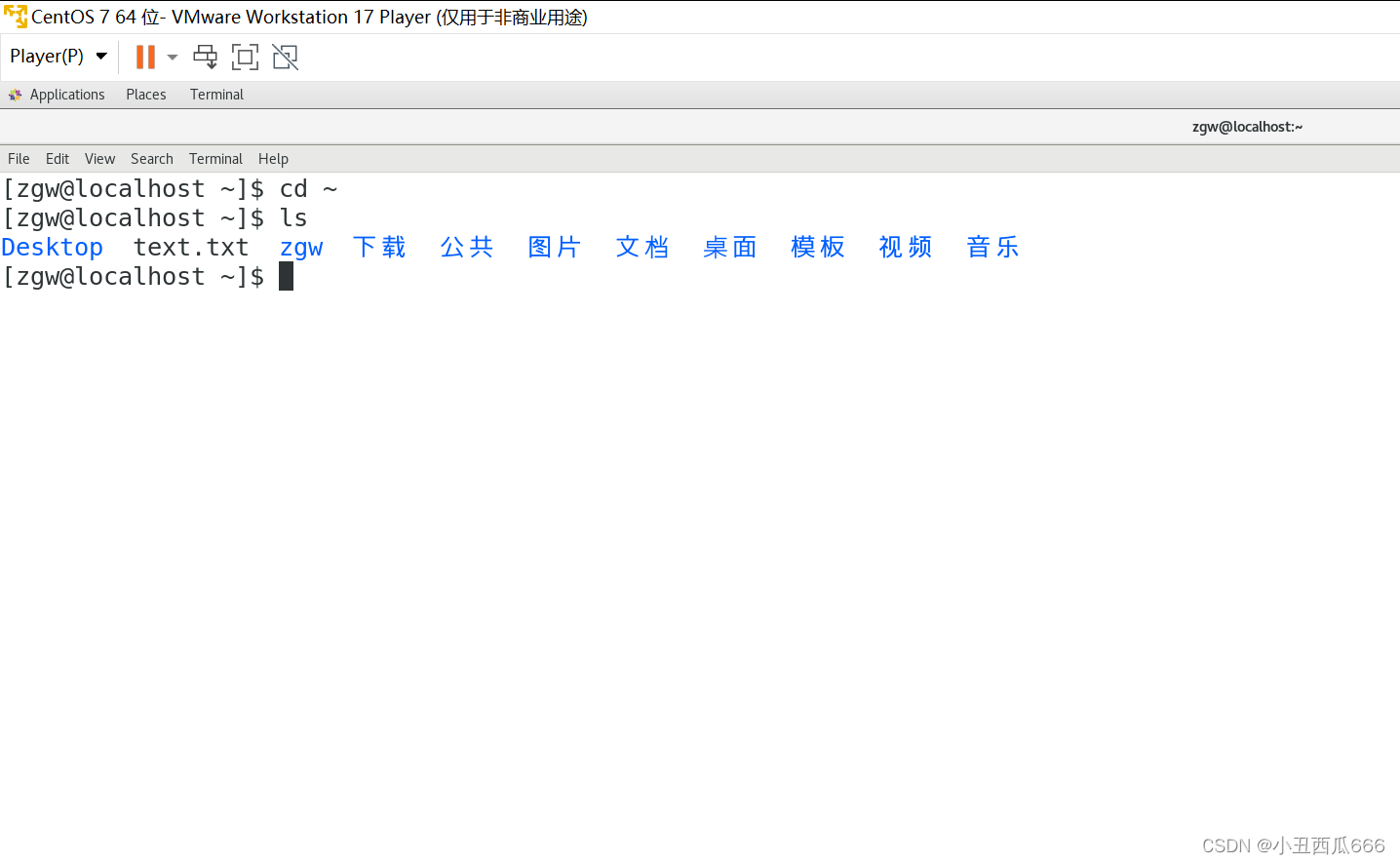 5分钟让你在LINUX系统写第一个C语言holleword（巨有成就感）_linux怎么写hello world-CSDN博客