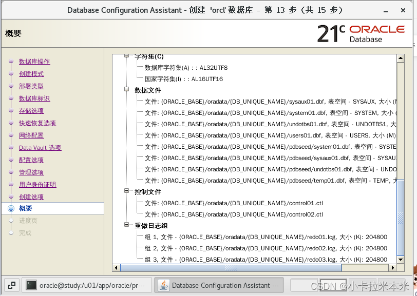 Linux 安装oracle 21c_oracle21c数据库linux下载安装-CSDN博客