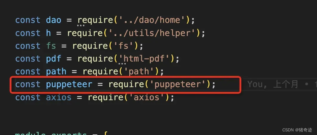 Puppeteer导入pdf攻略以及踩坑问题_puppeteer pdf-CSDN博客