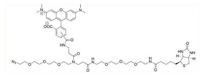 TAMRA-Azide-PEG-Biotin，1797415-74-7，能够了解细胞的功能和行为_biotin-azide和tamra azide-CSDN博客
