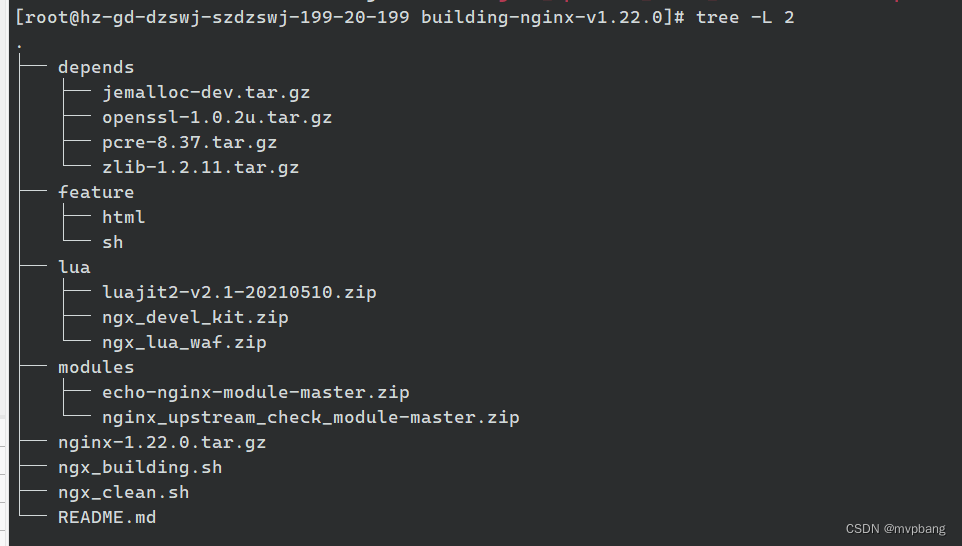 jemalloc+lua+nginx自动化构建_lua内存分配器jemalloc-CSDN博客