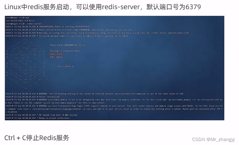 瑞吉外卖 —— 10、Redis_瑞吉外卖中reids笔记-CSDN博客