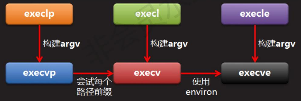 uc_09_创建新进程 exec() system()_exec会创建新进程吗-CSDN博客