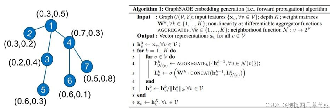 GraphSAGE原理（详细）-CSDN博客