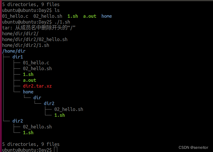 Day2（c高级）-CSDN博客