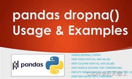 【Pandas】深入解析pandas中的统计汇总函数`dropna()`_pandas dropna函数-CSDN博客