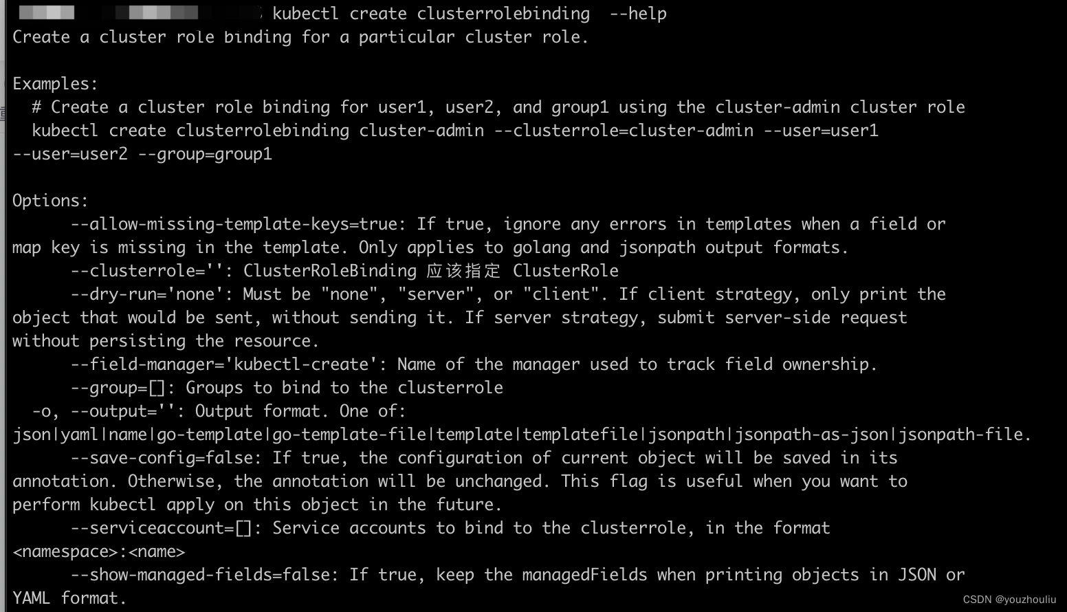 Kubectl 命令详解（十六）：create Clusterrolebindingkubectl Create Clusterrolebinding Csdn博客 