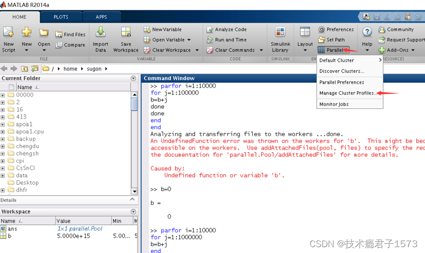 matlab如何在Linux&HPC集群配置使用pbs和slurm调度系统?_matlab slurm-CSDN博客