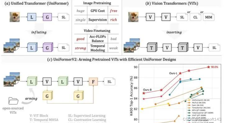 UniFormerV2-CSDN博客