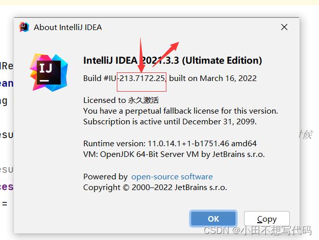 IDEA2021.3.1版本配置lombok全过程（maven版本）_lombok最新版本-CSDN博客