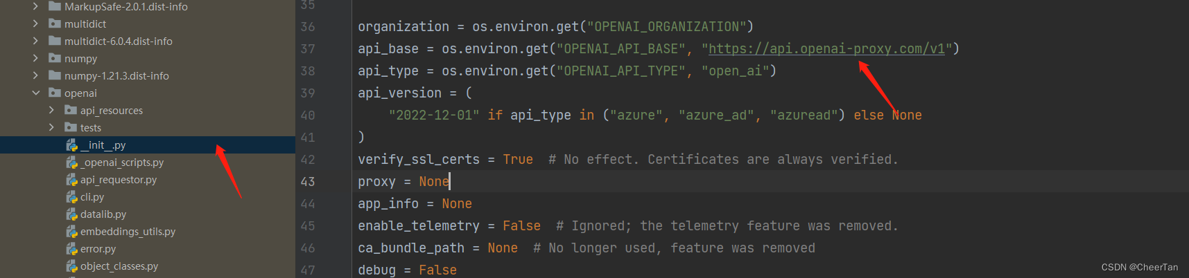 解决OpenAI网络限制：使用代理与端口配置-CSDN博客