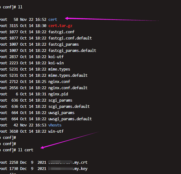 靓靓小知识-Nginx配置ssl证书_nginx pem和key-CSDN博客