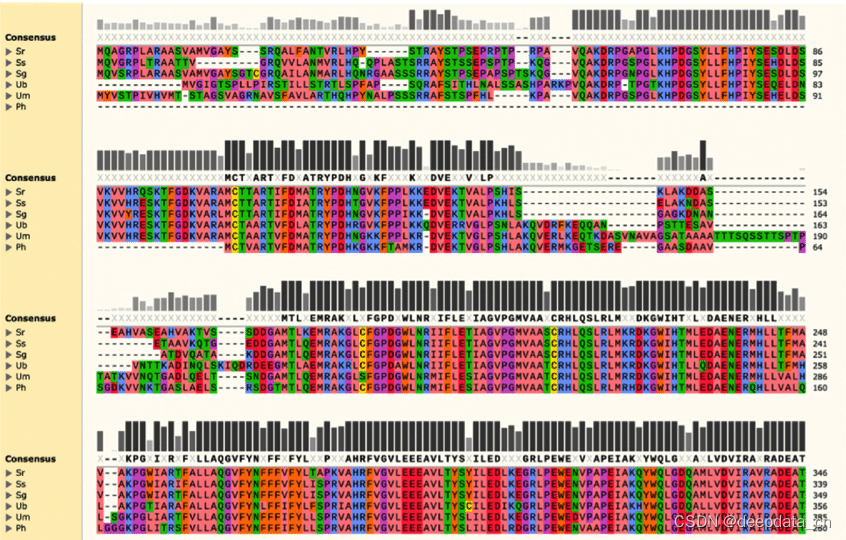 MUSCLE多重序列比对算法_multiple sequence comparison by log-expectation-CSDN博客