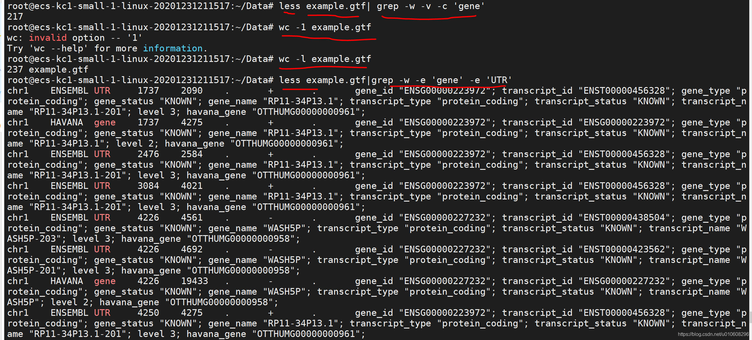 linux 的三驾马车grep ，sed，awk_grep sed awk 三驾马车-CSDN博客