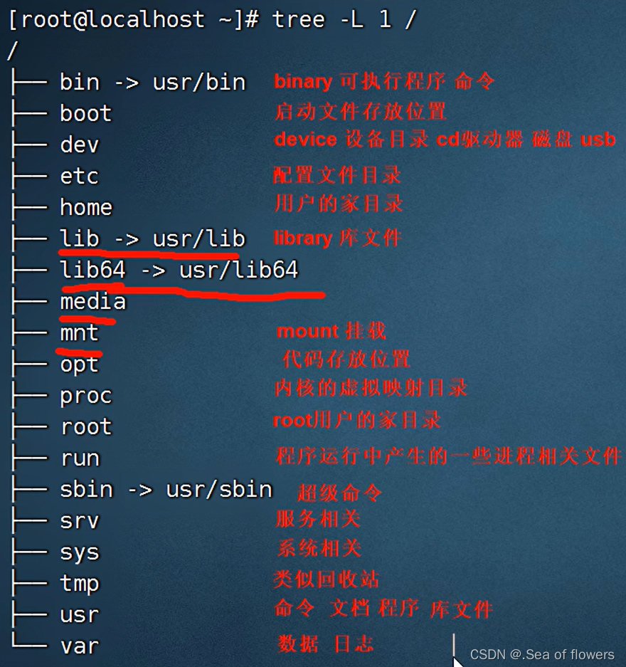 走进Linux_第1关:了解你的linux系统计算机csdn-CSDN博客