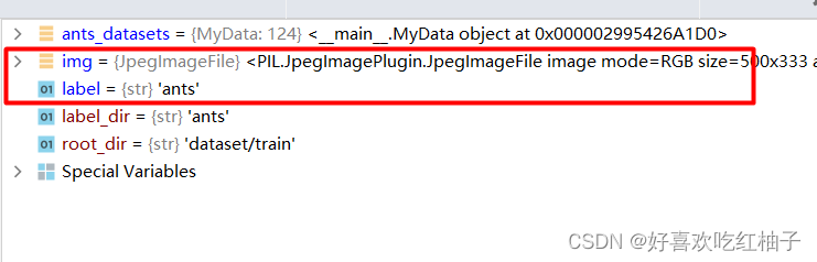 pytorch初学笔记（一）：如何加载数据和Dataset实战_python dataset-CSDN博客