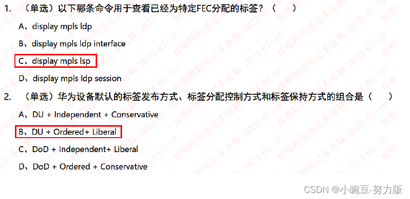 MPLS LDP原理与配置-CSDN博客