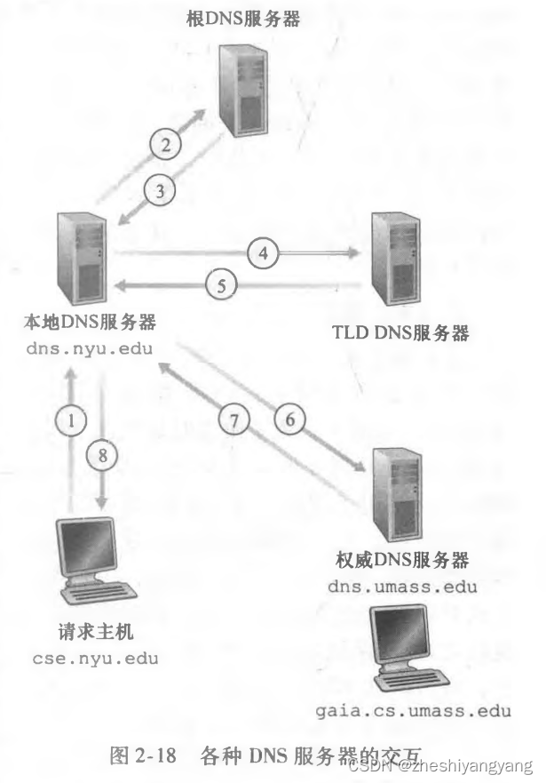 计算机网络第2章-DNS（3）_dns relay-CSDN博客