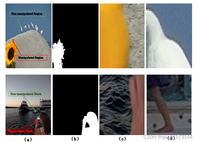 图像篡改入门02 利用空间结构篡改定位_exploiting spatial structure for localizing manipu-CSDN博客