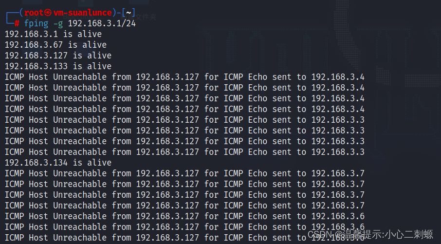 使用PING命令进行网络诊断：参数详解与应用-CSDN博客