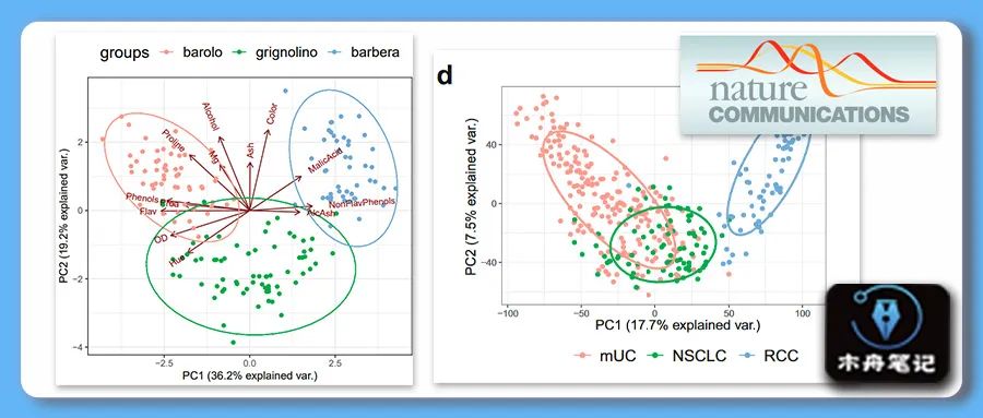 ggbiplot | 带箭头的主成分分析(PCA)图绘制-CSDN博客