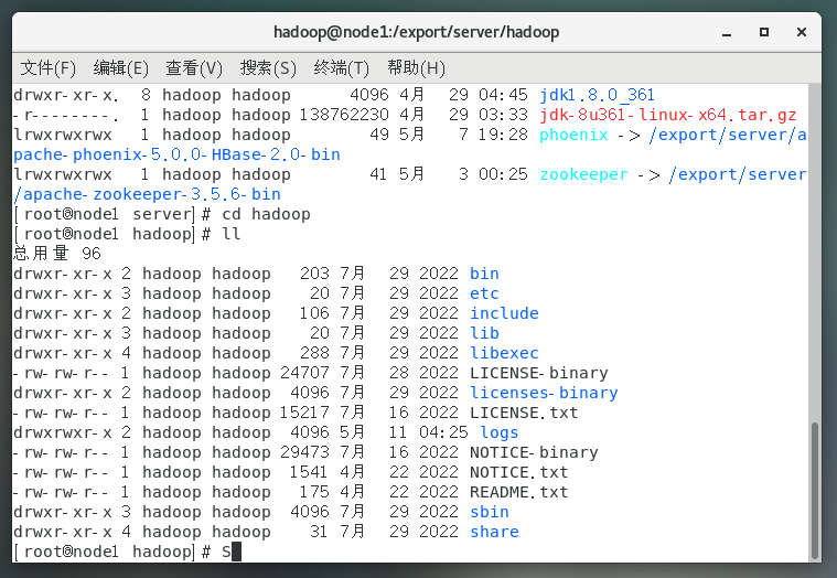 Hadoop的安装以及使用_安装hadoop-CSDN博客