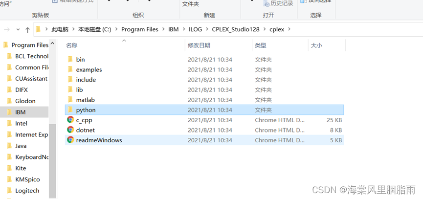 Python调用Cplex教程-CSDN博客