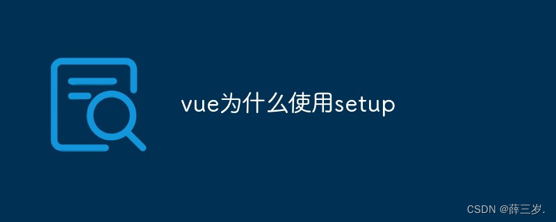 vue为什么使用setup_vue 页面 setup 的作用-CSDN博客