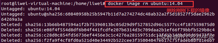 【云原生】详解Docker 镜像管理_docker digest-CSDN博客