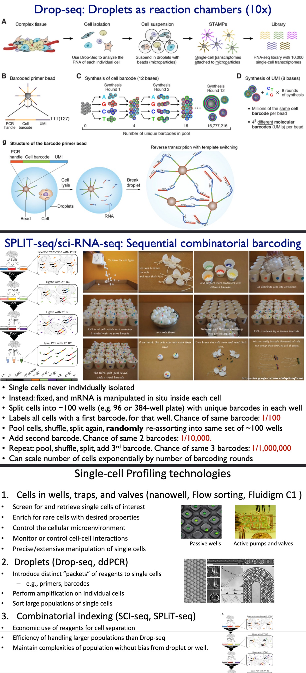 【Single Cell Genomics】Part1 单细胞基因组学_scatac-seq和scrna-seq区别-CSDN博客