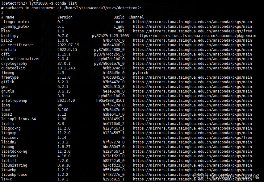 Detectron2环境配置加测试（Linux）_linux安装detectron2-CSDN博客