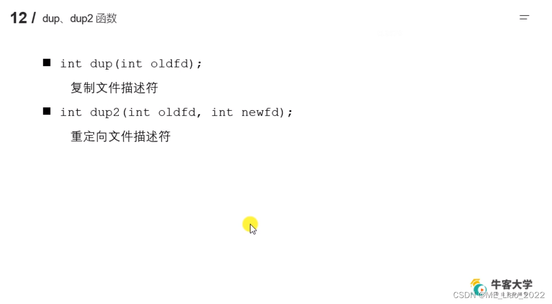 Linux_dup、dup2函数_linux dup(1)-CSDN博客