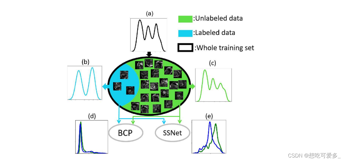 【CVPR2023-论文笔记】《Bidirectional Copy-Paste for Semi-Supervised Medical Image Segmentation》-CSDN博客