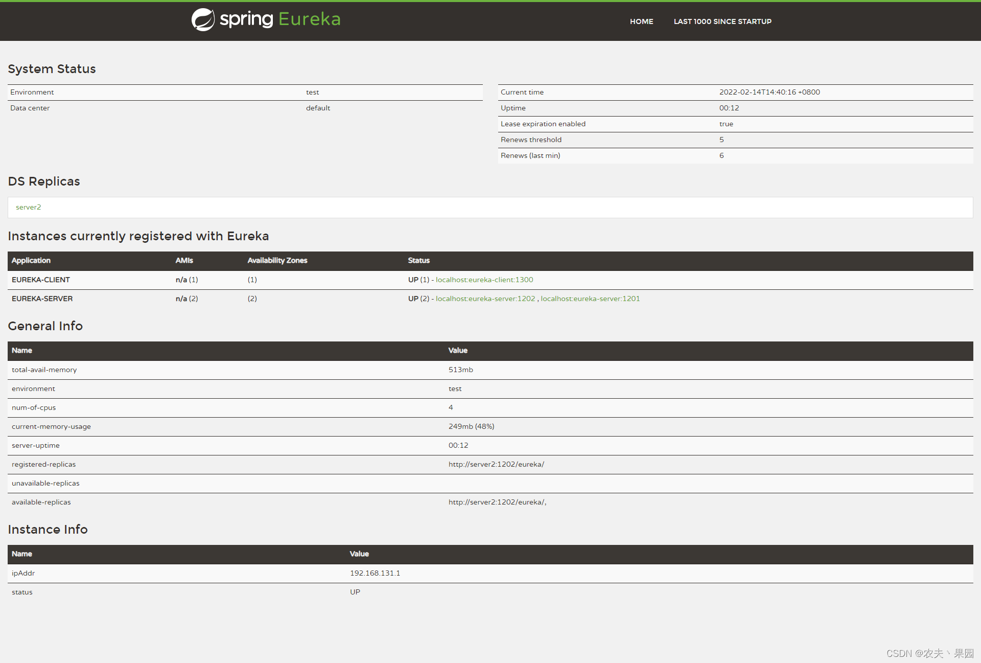Spring Cloud Eureka（一）：入门使用_springcloud eureka登录-CSDN博客