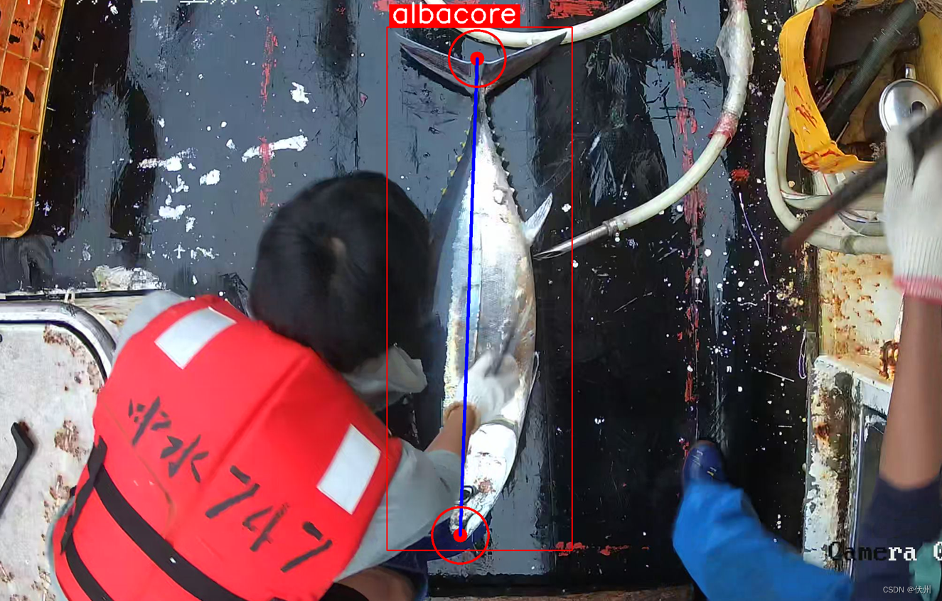 Yolov8-pose 关键点检测坐标的提取（3个关键点）_yolo-pose关键点怎么提取坐标-CSDN博客