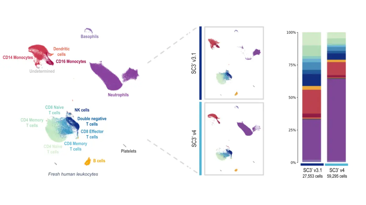 The neXt generation of single cell RNA-seq（GEM-X）_chromium next gem cell-CSDN博客