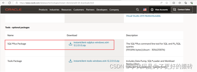 数据库文件中带有prompt的执行方法_plsql prompt-CSDN博客