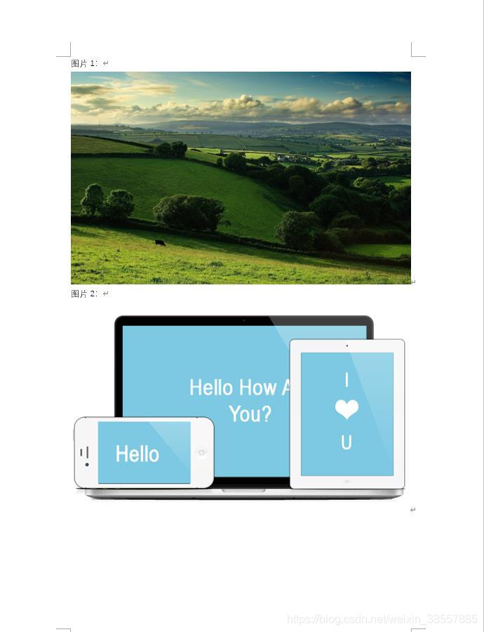 python使用docxtpl处理word文档图片不显示问题_py读取合并word中图片不显示-CSDN博客